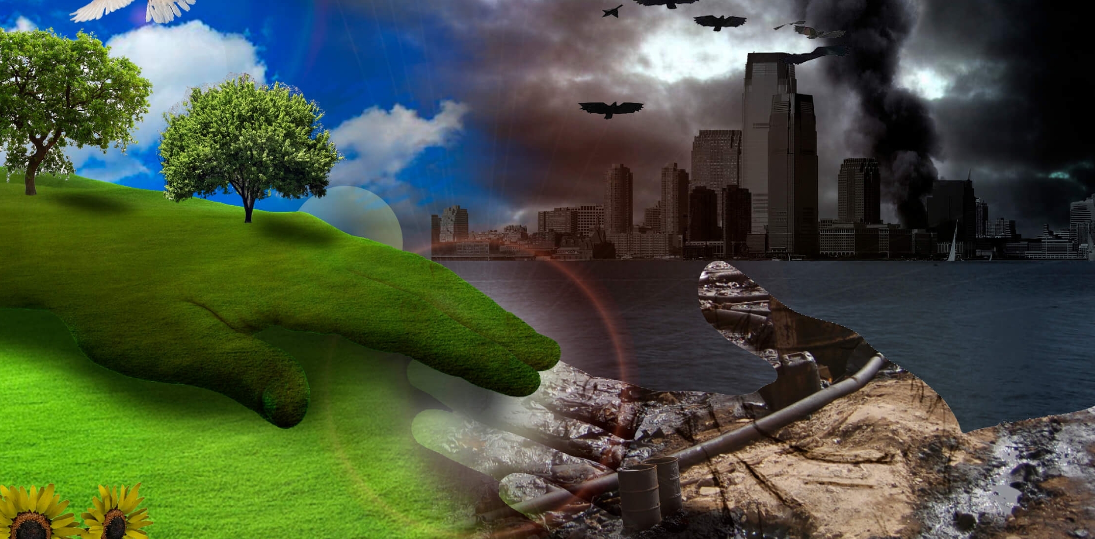 Voice Of Environment